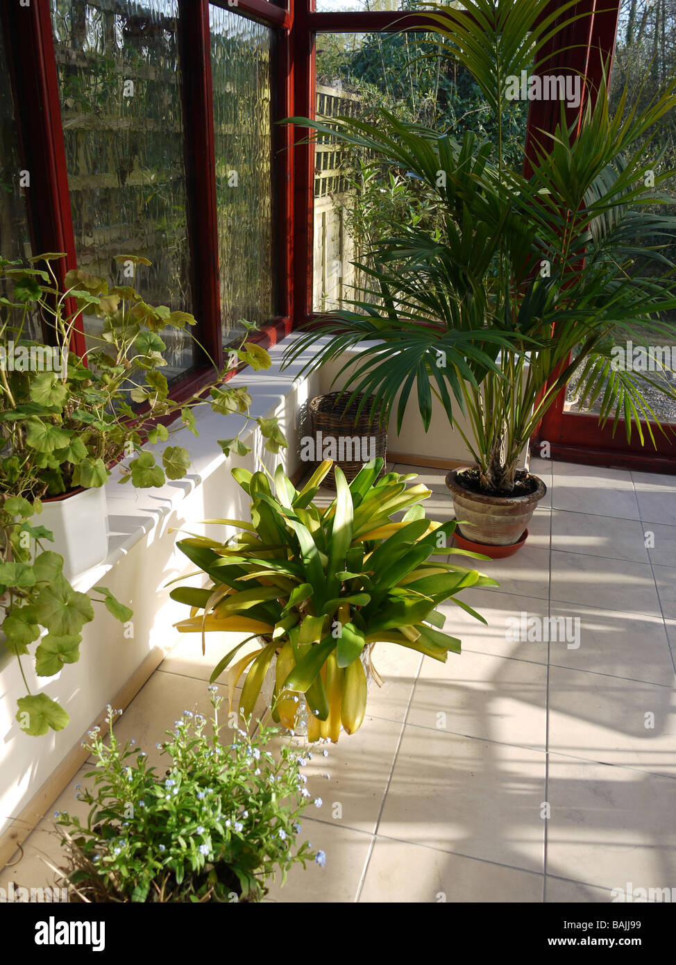 A conservatory with tables chairs plants in room in house next to ...