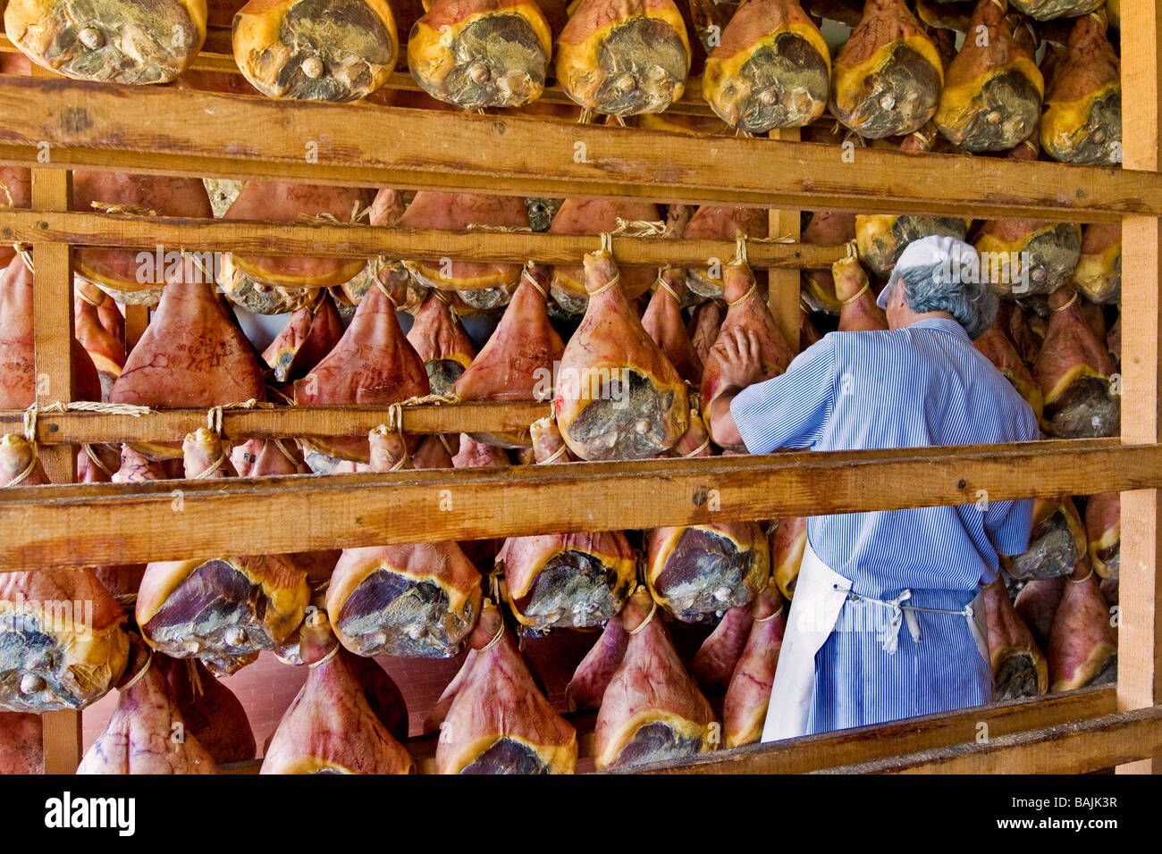 Ham of Modena Ham factory worker Italian ham factory by Nini Gianfranco ...