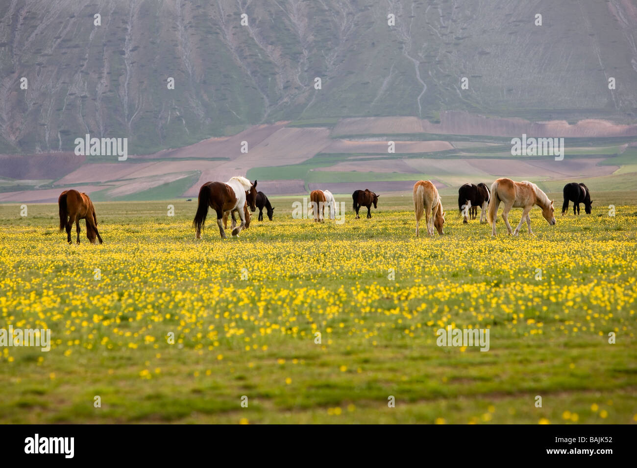 The umbrian plain hi-res stock photography and images - Alamy