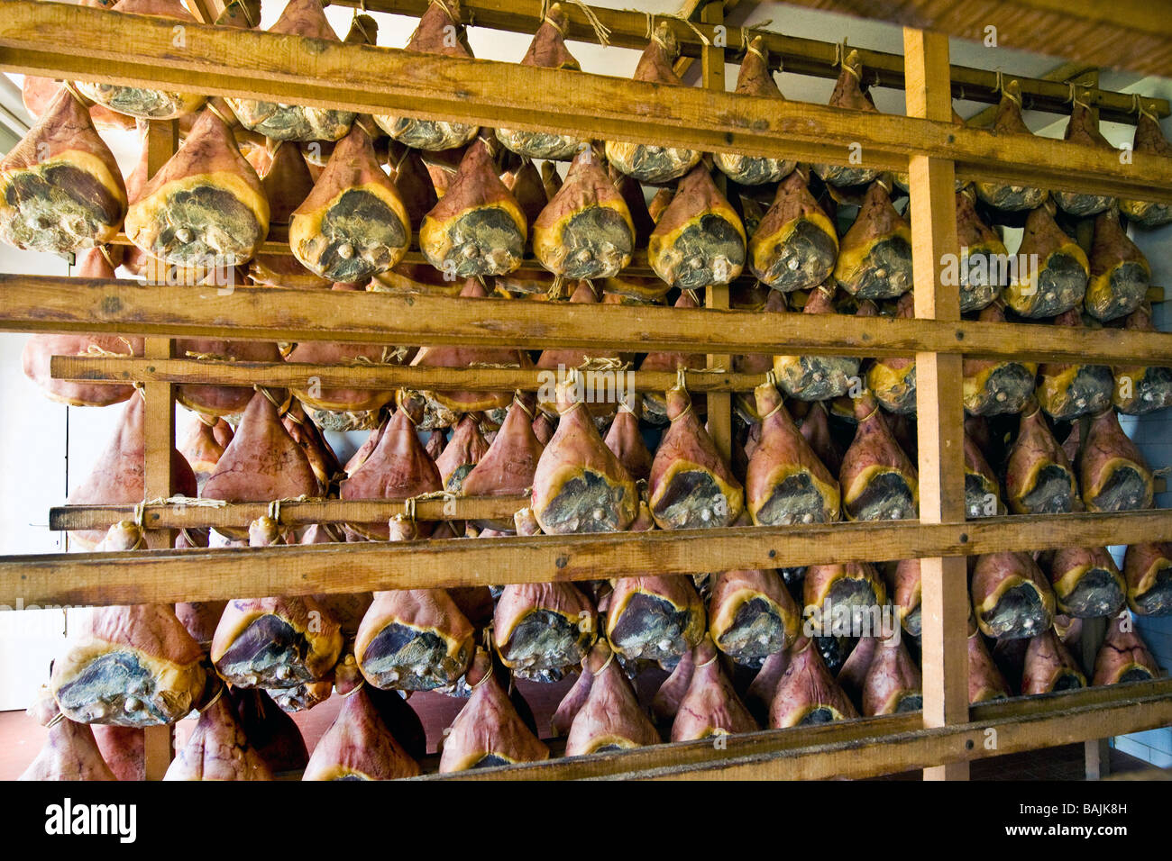 Ham of Modena Italian ham factory by Nini Gianfranco Savignano sul ...