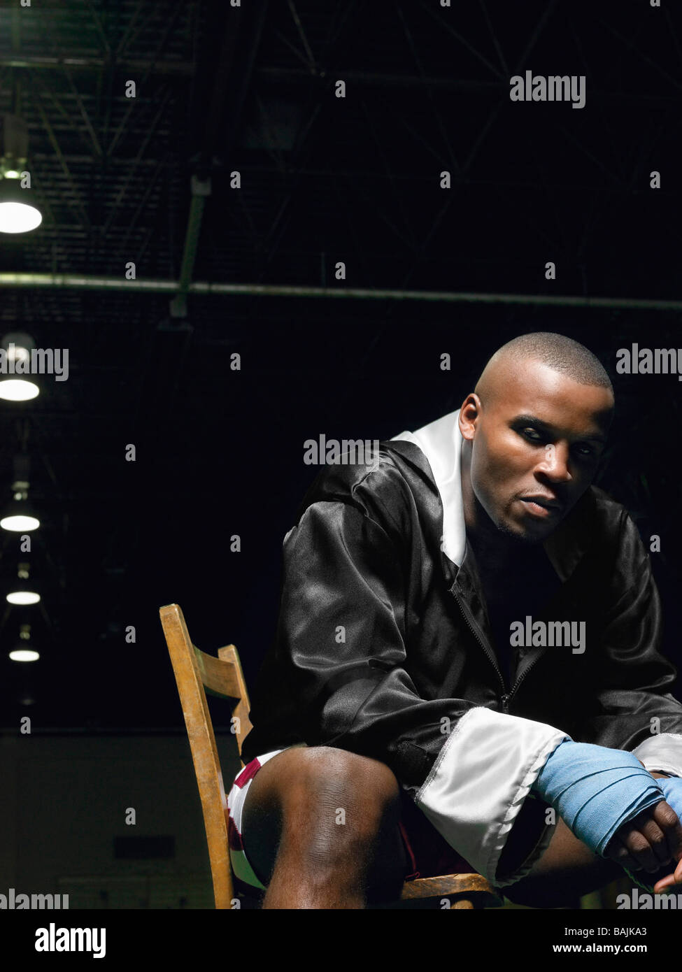 Boxer sitting on chair, portrait Stock Photo - Alamy