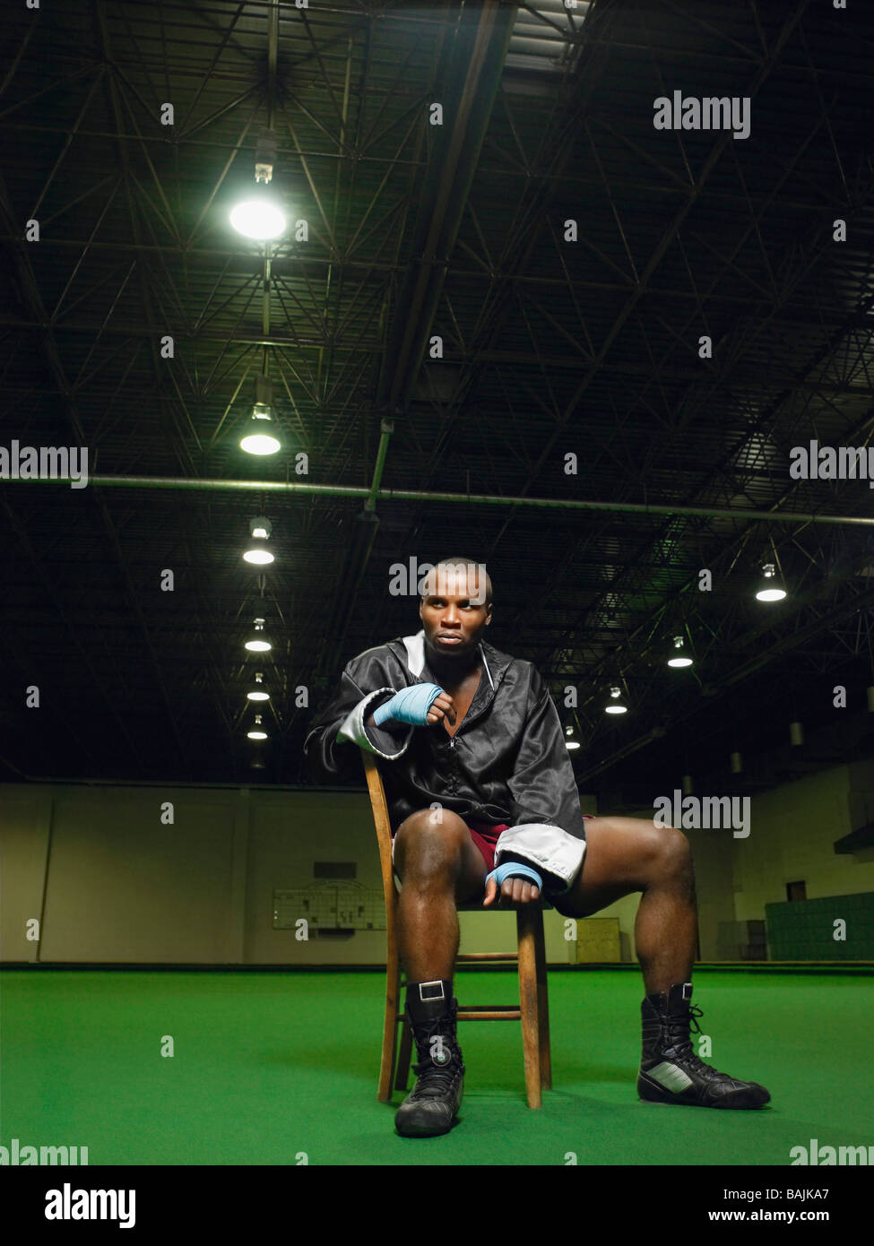 Boxer sitting on chair, portrait Stock Photo - Alamy