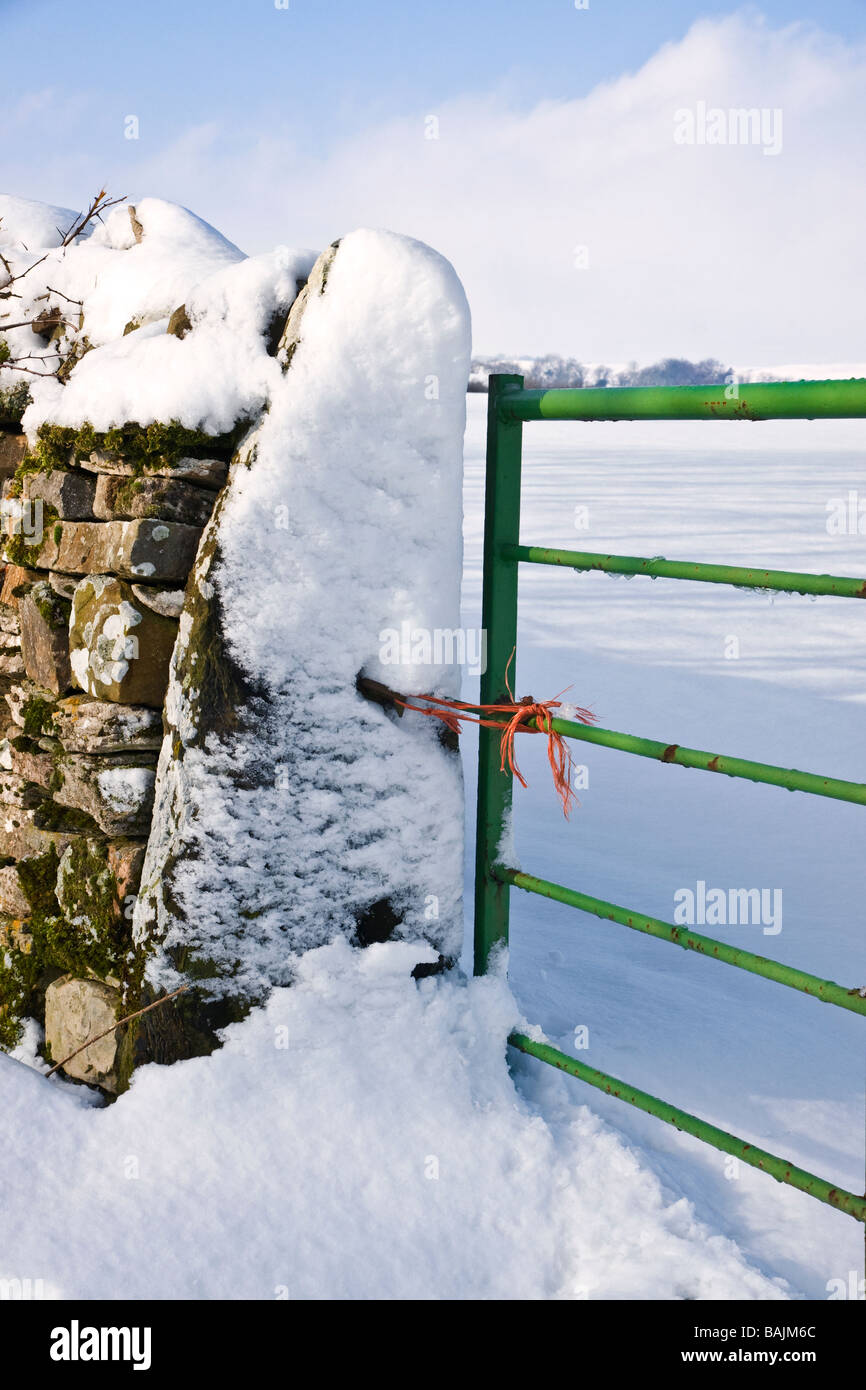 Clinging to wall hi-res stock photography and images - Alamy