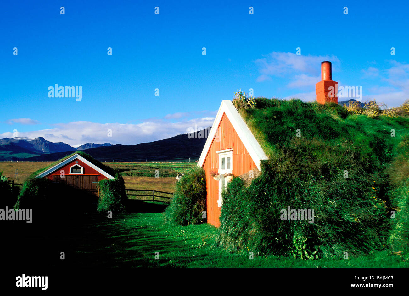 Iceland, Borgarfjördur, traditional house with a grass roof Stock Photo ...