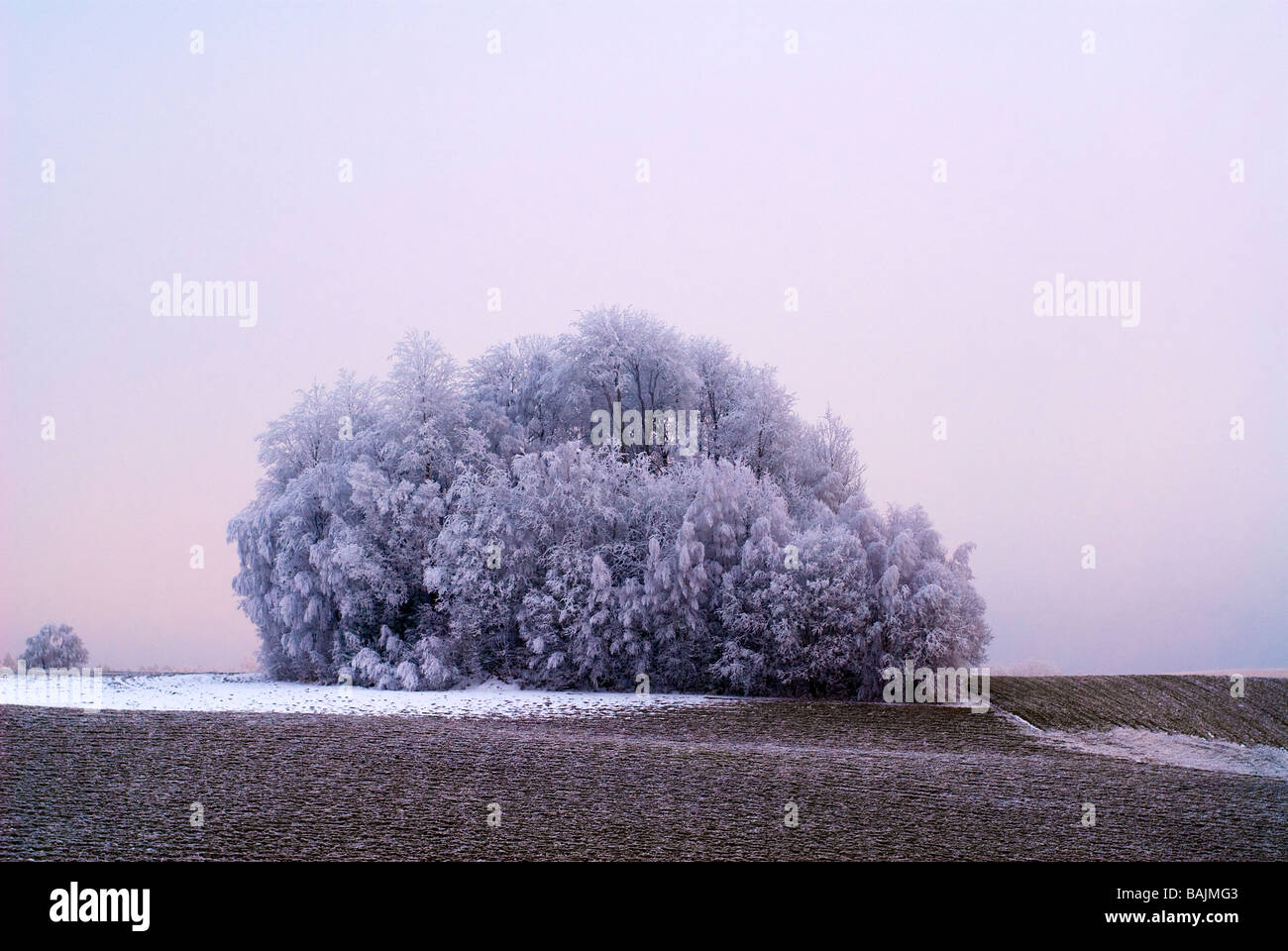 Frozen field hi-res stock photography and images - Alamy