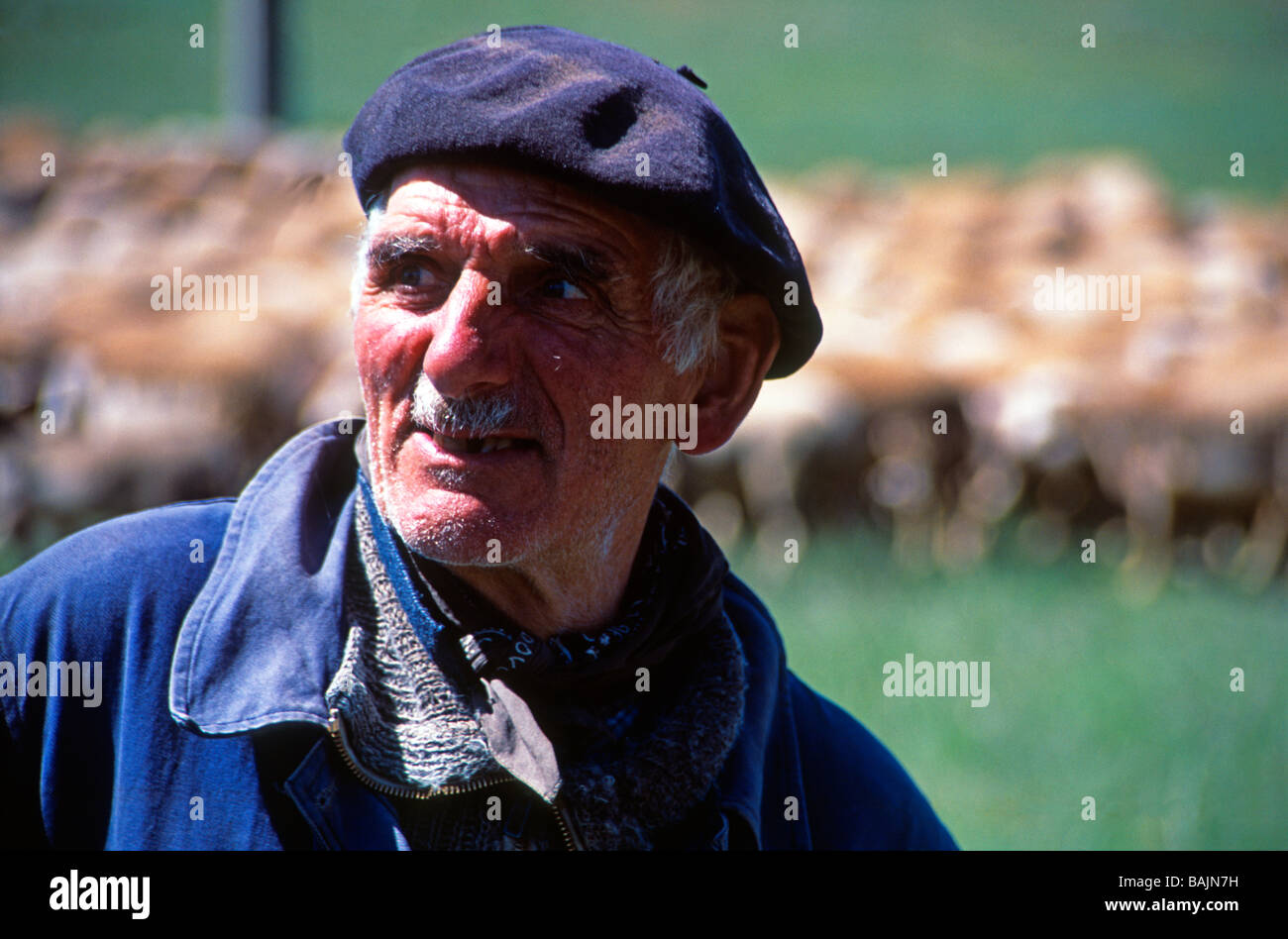 French peasant farmer hi-res stock photography and images - Alamy
