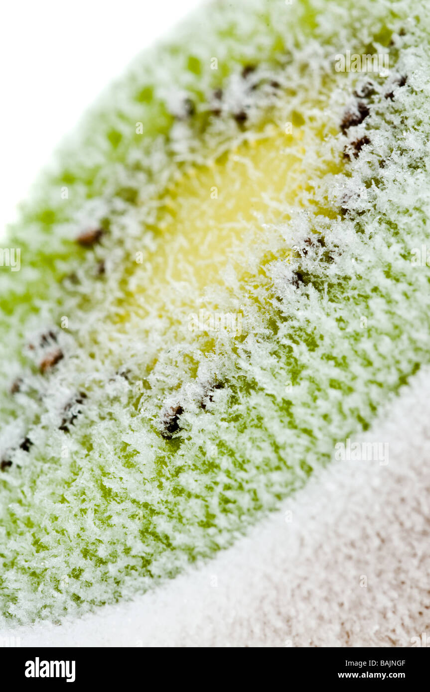 Slices frozen kiwi in ice Stock Photo - Alamy