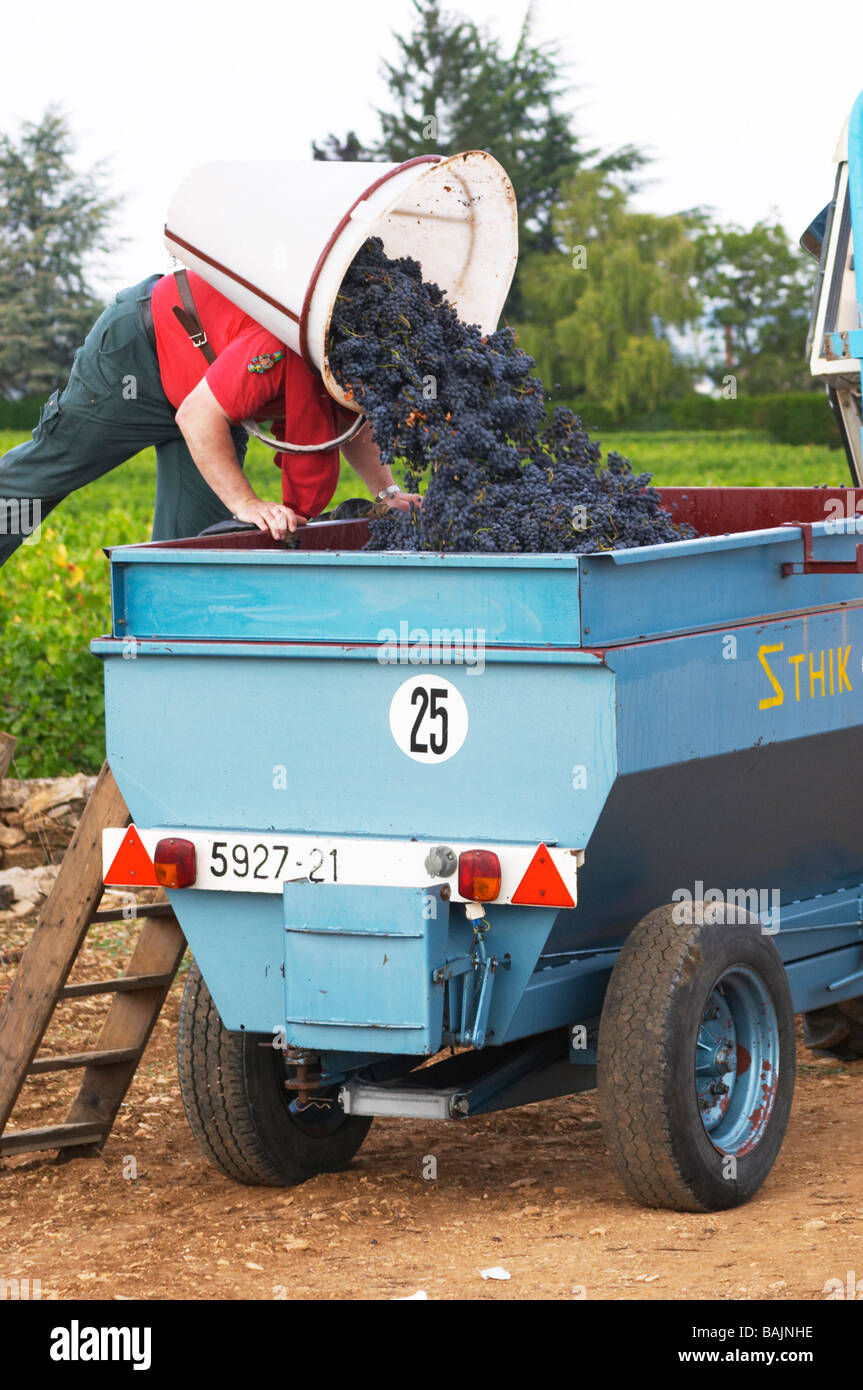 Hod carrier hi-res stock photography and images - Alamy