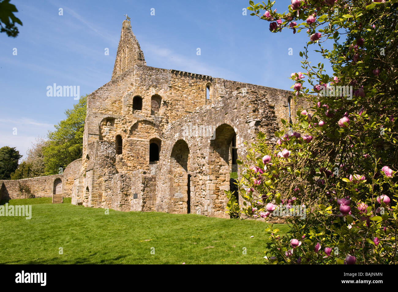 Battle abbey hi-res stock photography and images - Alamy