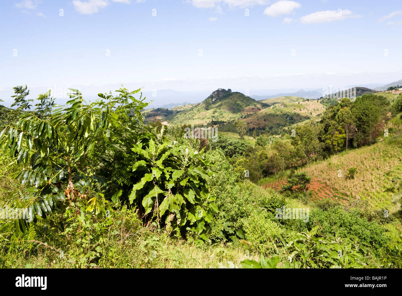 Rural scenery in malawi africa hi-res stock photography and images - Alamy