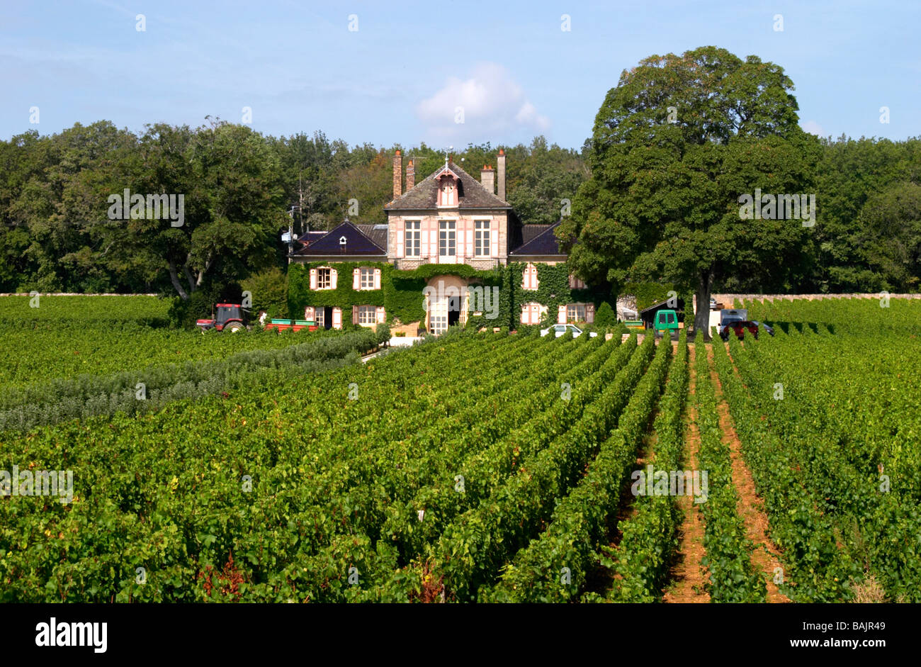 vineyard clos des langres ardhuy nuits-st-georges cote de nuits ...