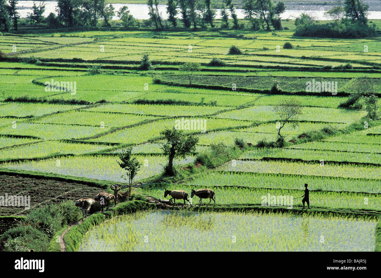 Pakistan north west frontier province nwfp hi-res stock photography and ...