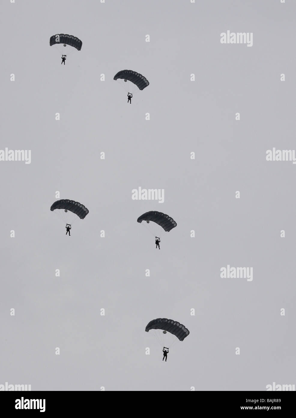 Army freefall parachute competition Stock Photo - Alamy