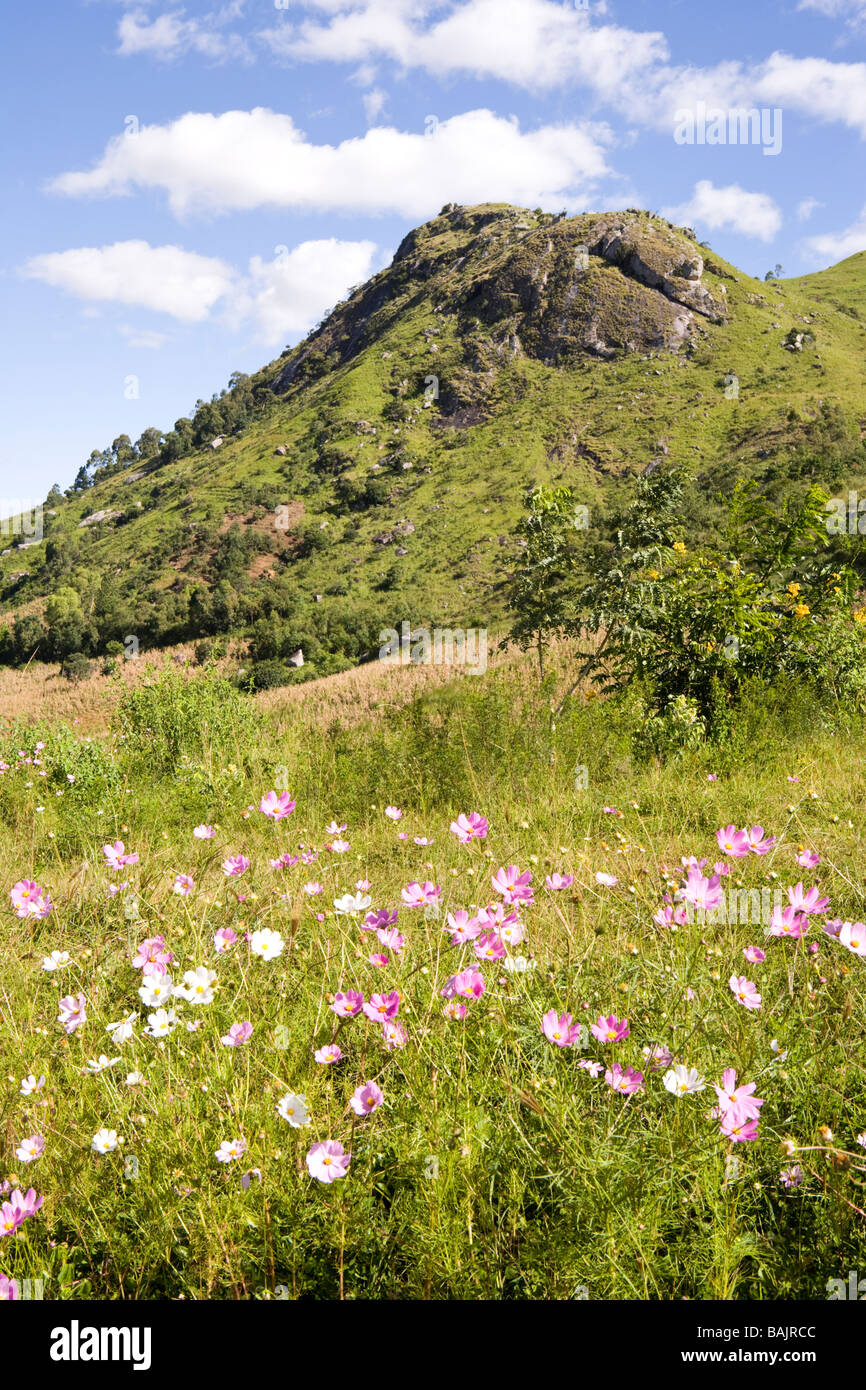Rural scenery in malawi africa hi-res stock photography and images - Alamy