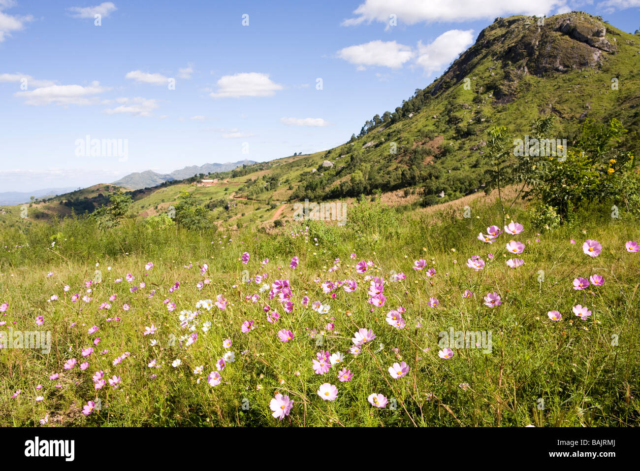 Rural scenery in malawi africa hi-res stock photography and images - Alamy