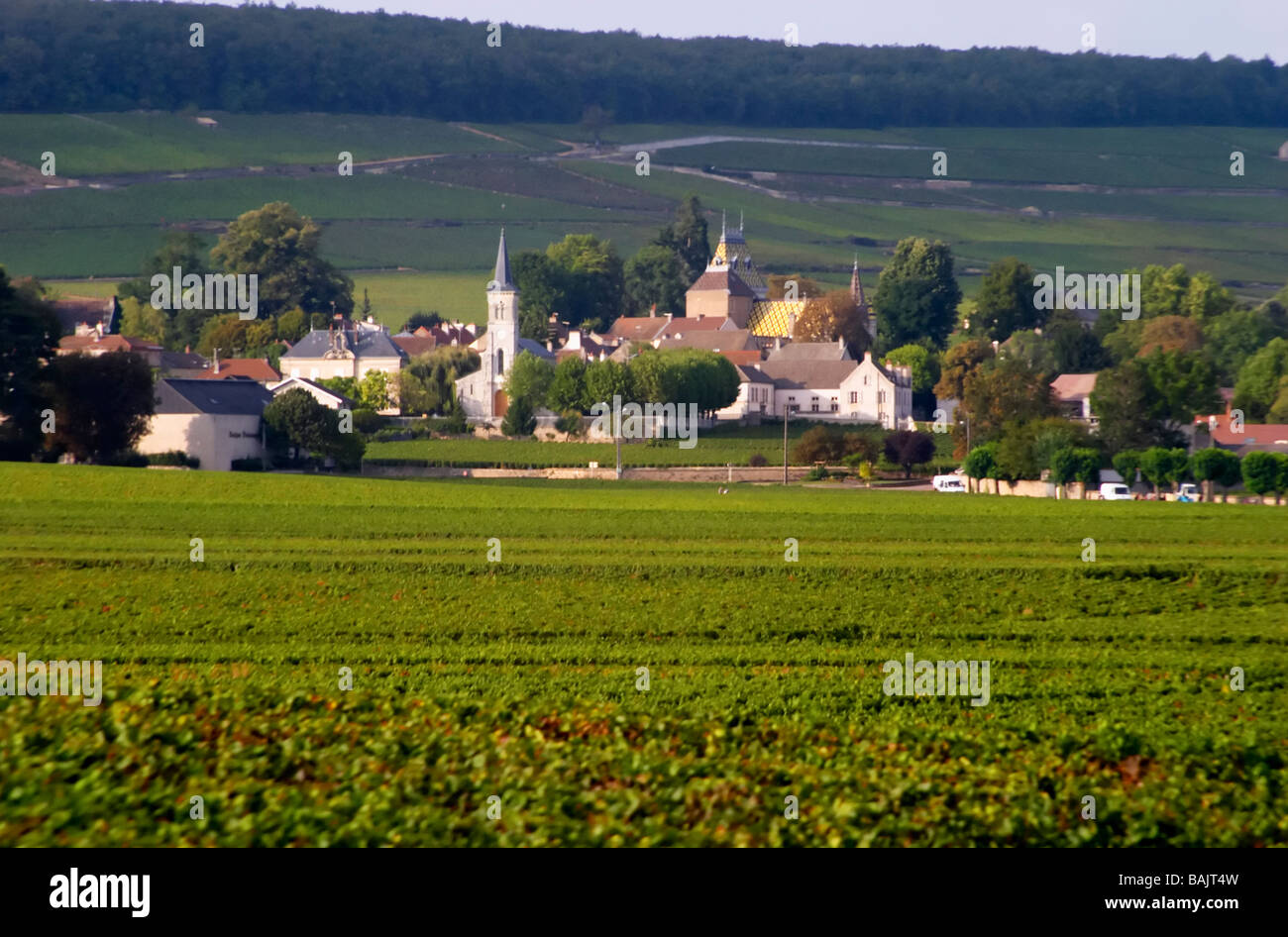 vineyard the village aloxe-corton cote de beaune burgundy france Stock ...