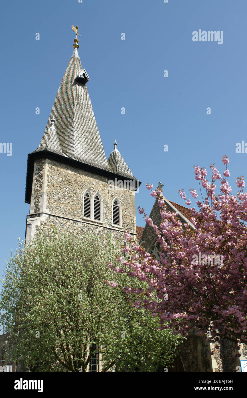 All Saints Church, Maldon, Essex Stock Photo - Alamy