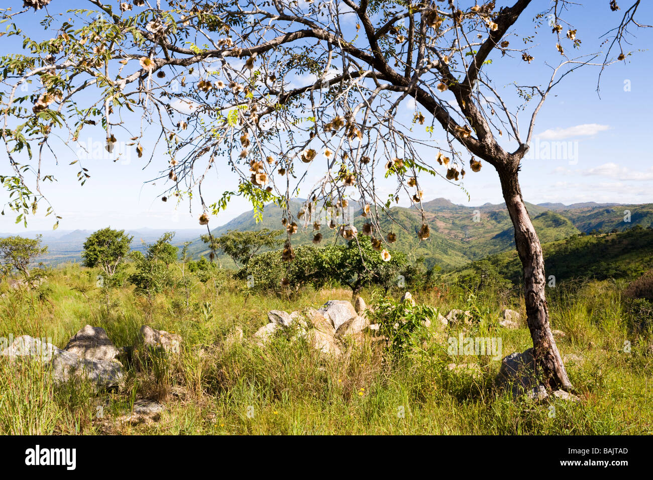 Rural scenery in malawi africa hi-res stock photography and images - Alamy