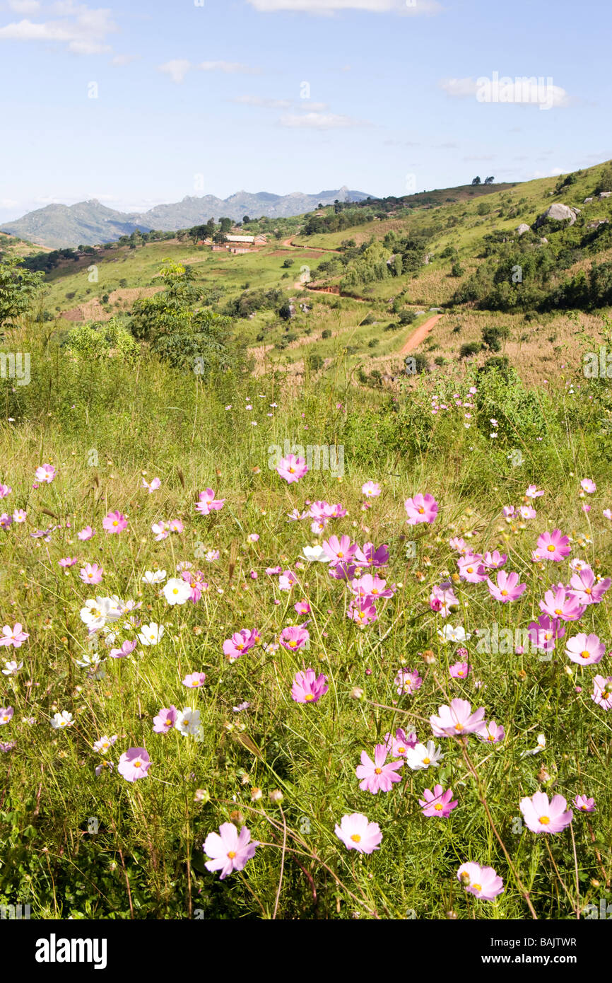 Rural scenery in malawi africa hi-res stock photography and images - Alamy