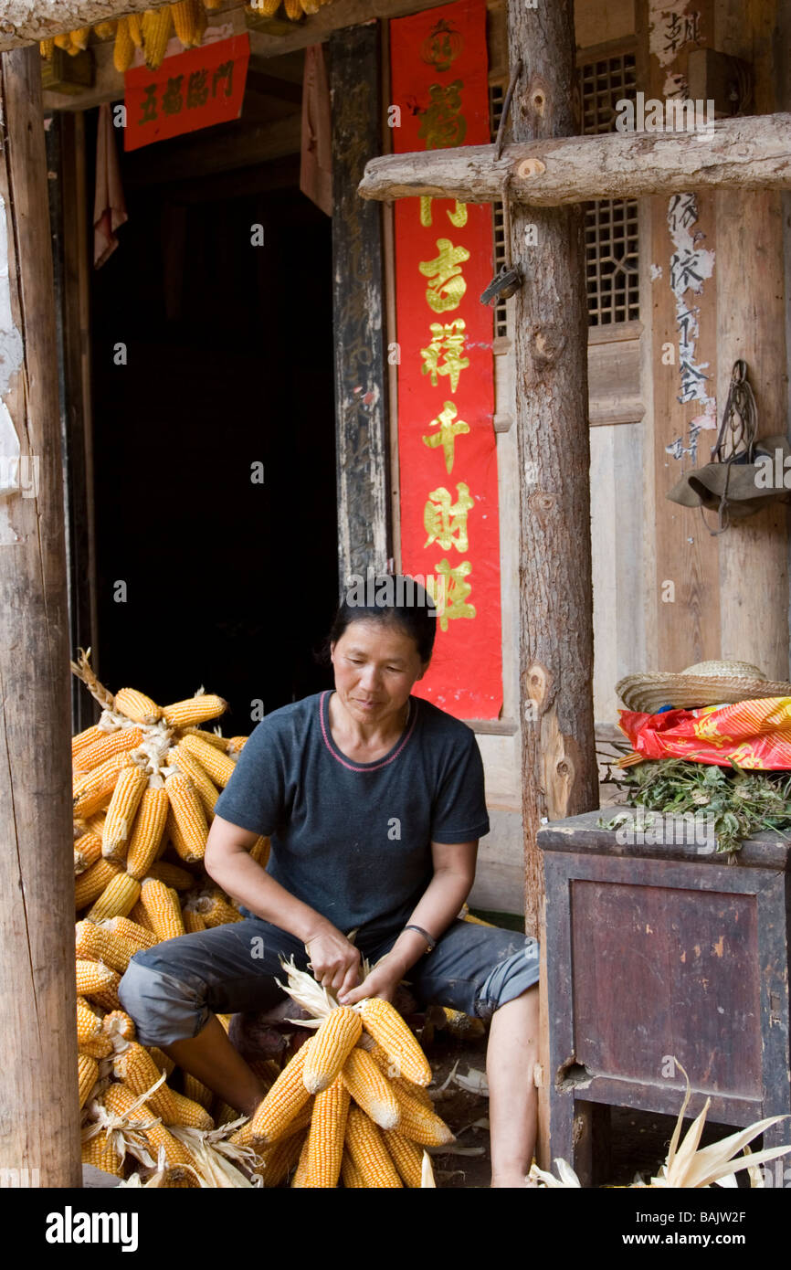 A woman removing the outer sheath from stalks of corn to hang out the ...