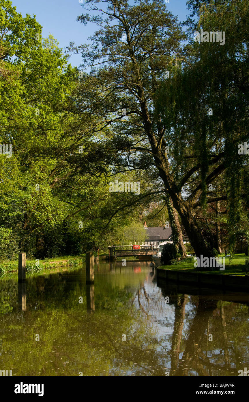 Weybridge Surrey High Resolution Stock Photography and Images - Alamy