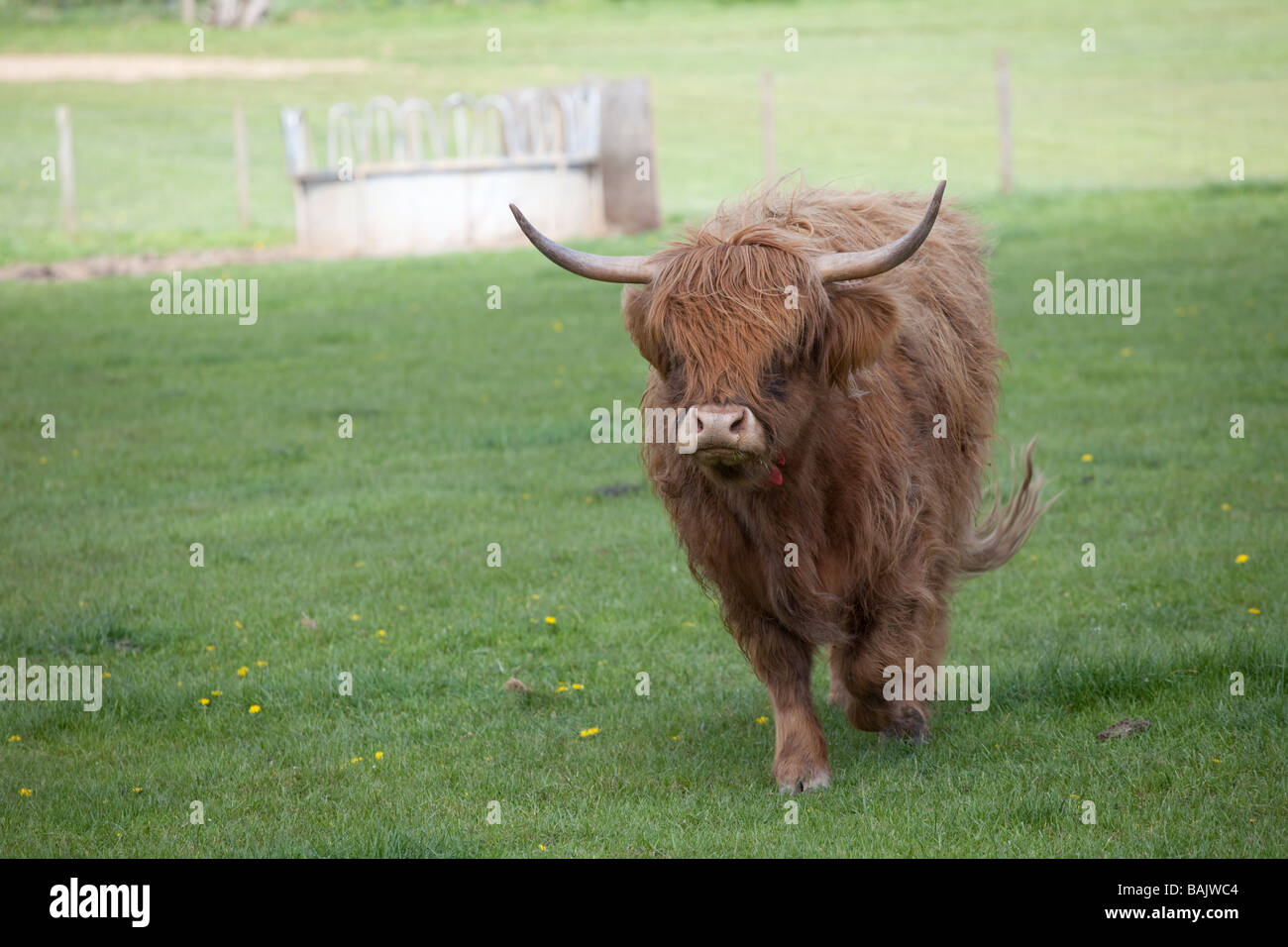 Highland charge hi-res stock photography and images - Alamy
