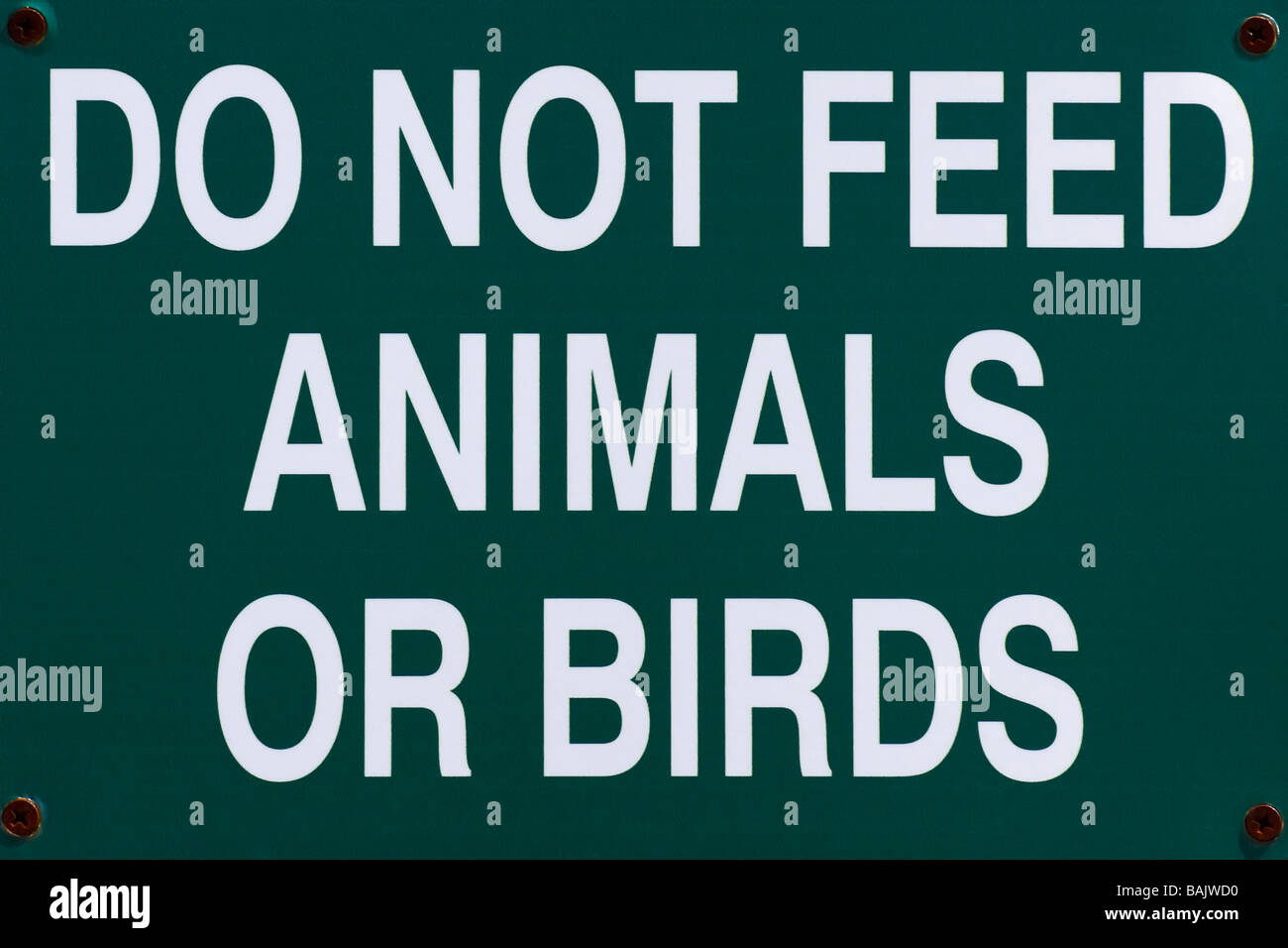 Prohibiting feeding of wild animals hi-res stock photography and images ...