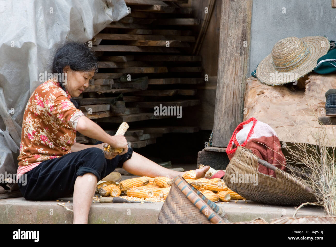 A woman removing the outer sheath from stalks of corn to hang out the ...
