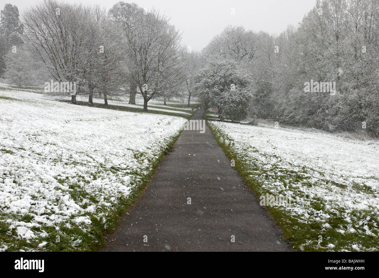 A footpath in winter with snow covered trees and grass Stock Photo - Alamy
