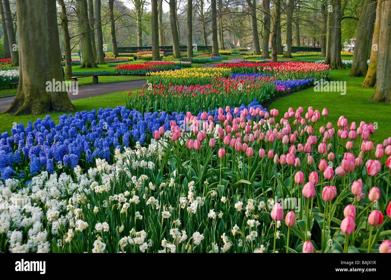 The Keukenhof Gardens in Lisse, The Netherlands is the world's largest ...