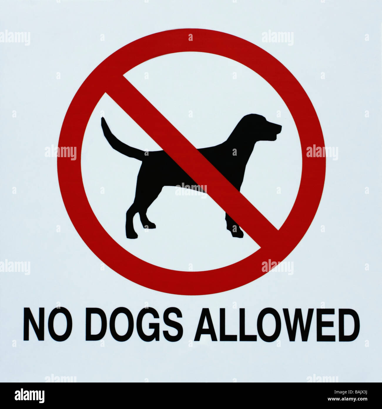 No Dogs Allowed Sign No Dogs Allowed Sign Hi Res Stock Photography And