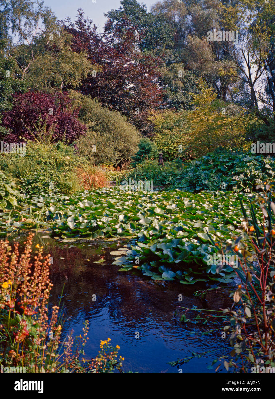 Japanese Garden, Newstead Abbey, Ravenshead, Nottinghamshire, England ...