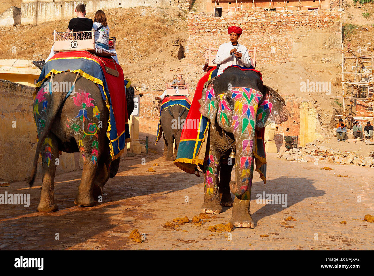 India, Rajasthan State, Jaipur, painted elephant at Amber fort Stock ...