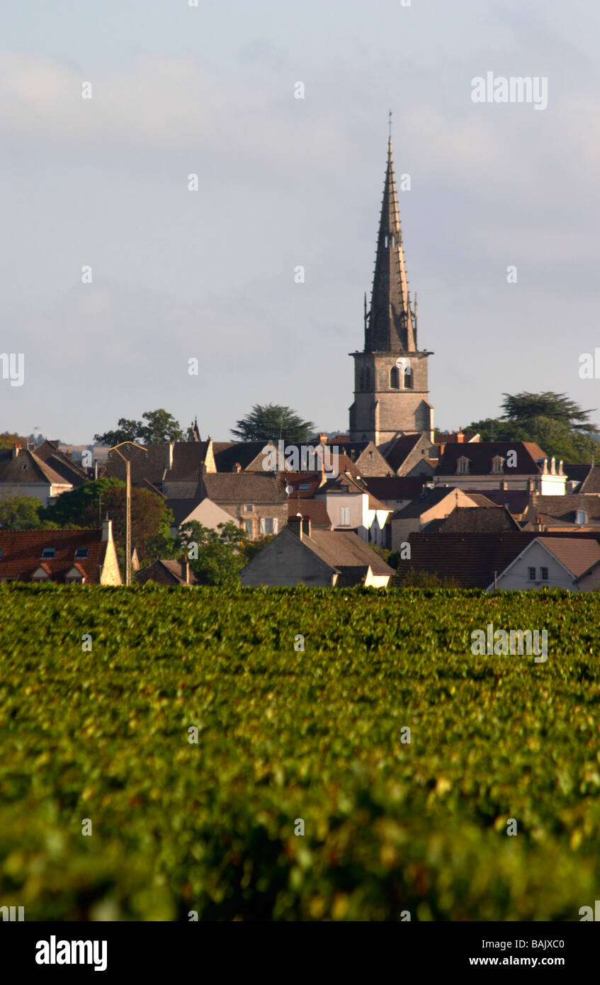 vineyard village meursault cote de beaune burgundy france Stock Photo ...