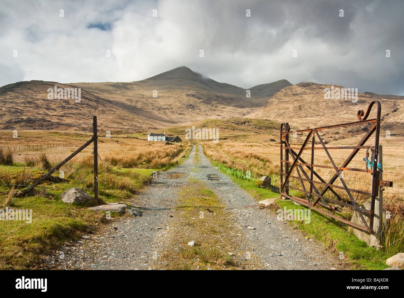 Ben More on the Isle of Mull, Scotland Stock Photo - Alamy