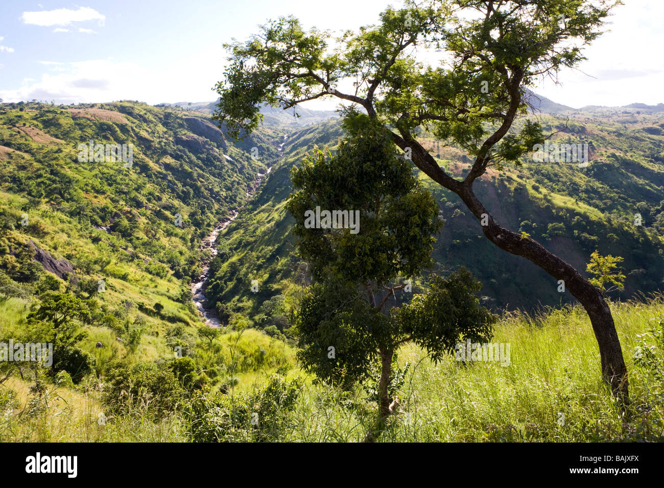 A river valley in the Kirk Range east of Dedza, Malawi, Africa Stock ...