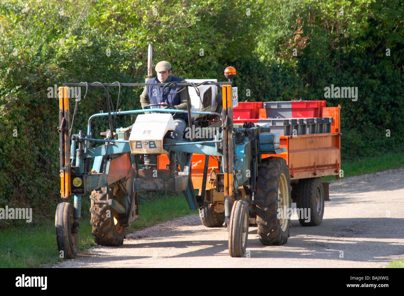 Straddling tractor hi-res stock photography and images - Alamy