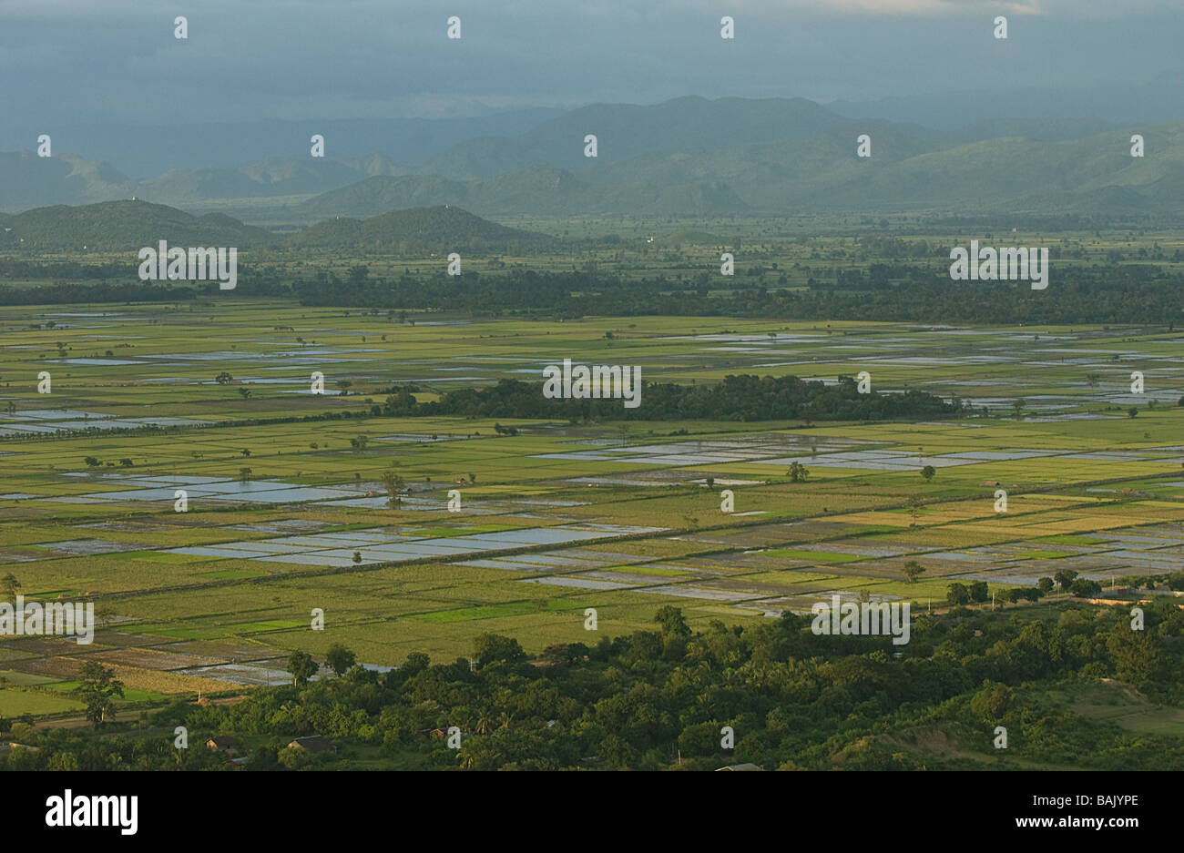 Myanmar (Burma), Mandalay Division, rice field in the Irrawaddy Plain and mountains of Shan ...