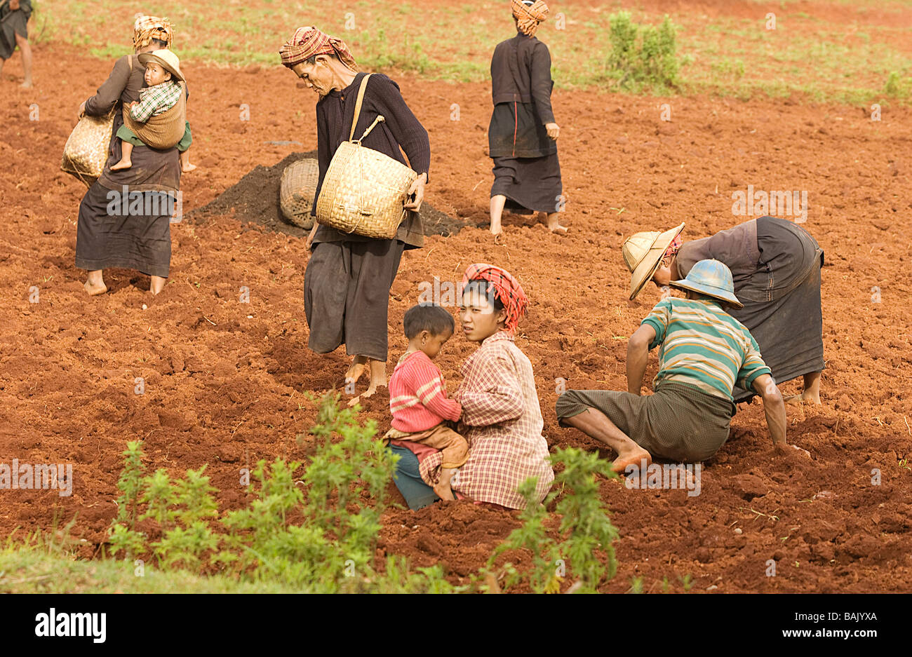Myanmar (Burma), Shan State, near Kalaw, women of Pao ethnic group ...