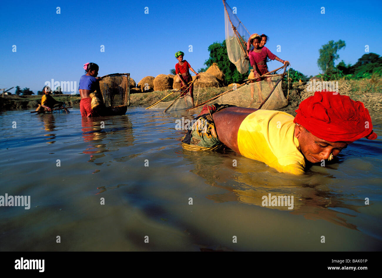 Nepal, Terai Region (Madhesh), Tharu ethnic group, fishermen in rice ...