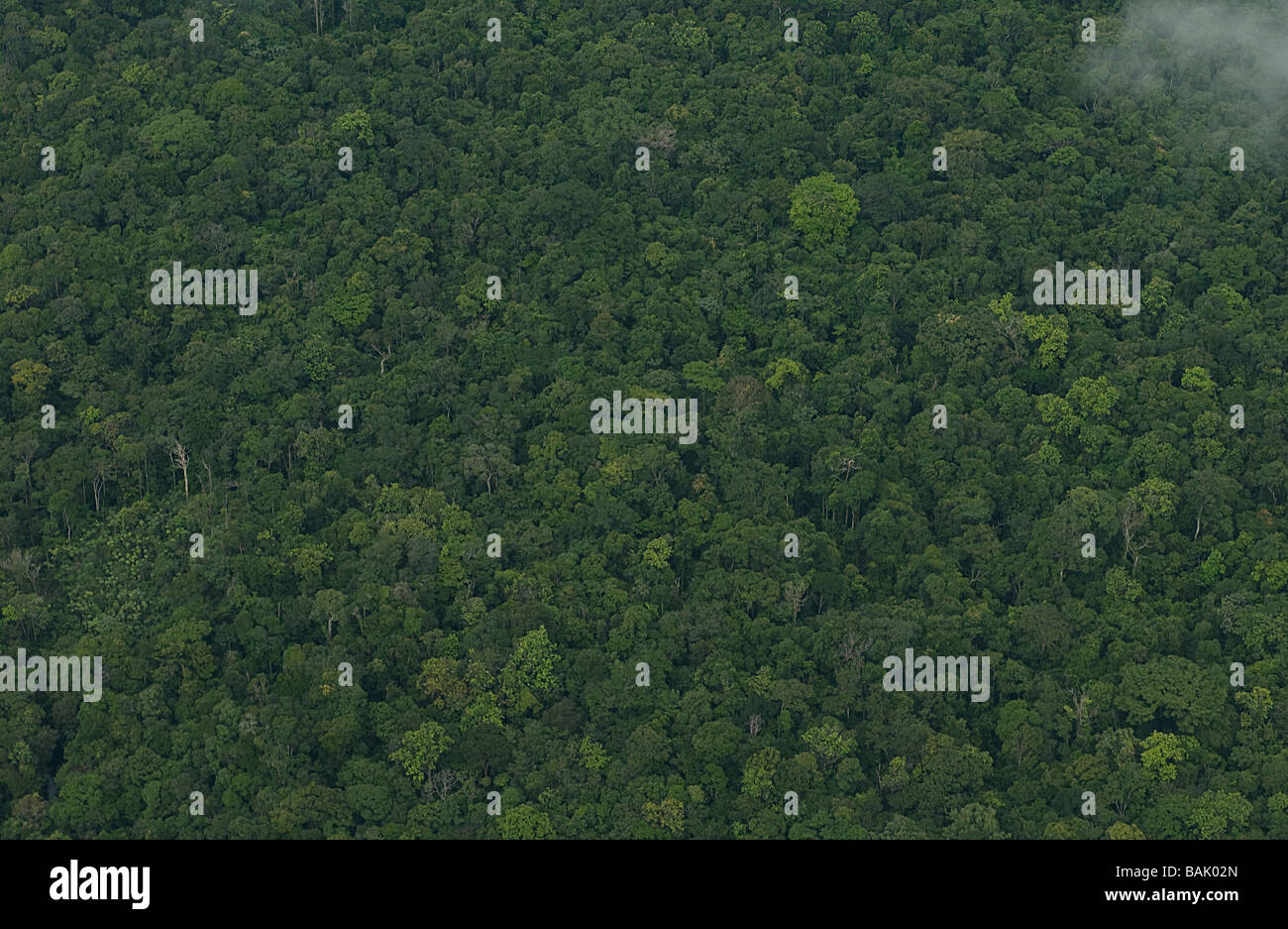 Venezuela, Bolivar State, Gran Sabana Region, Canaima National Park ...