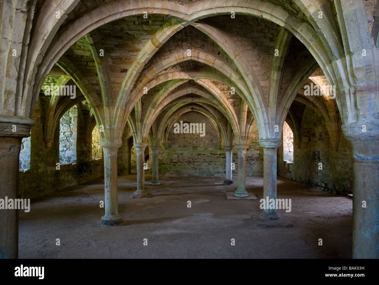 A vaulted medieval ceiling Stock Photo - Alamy