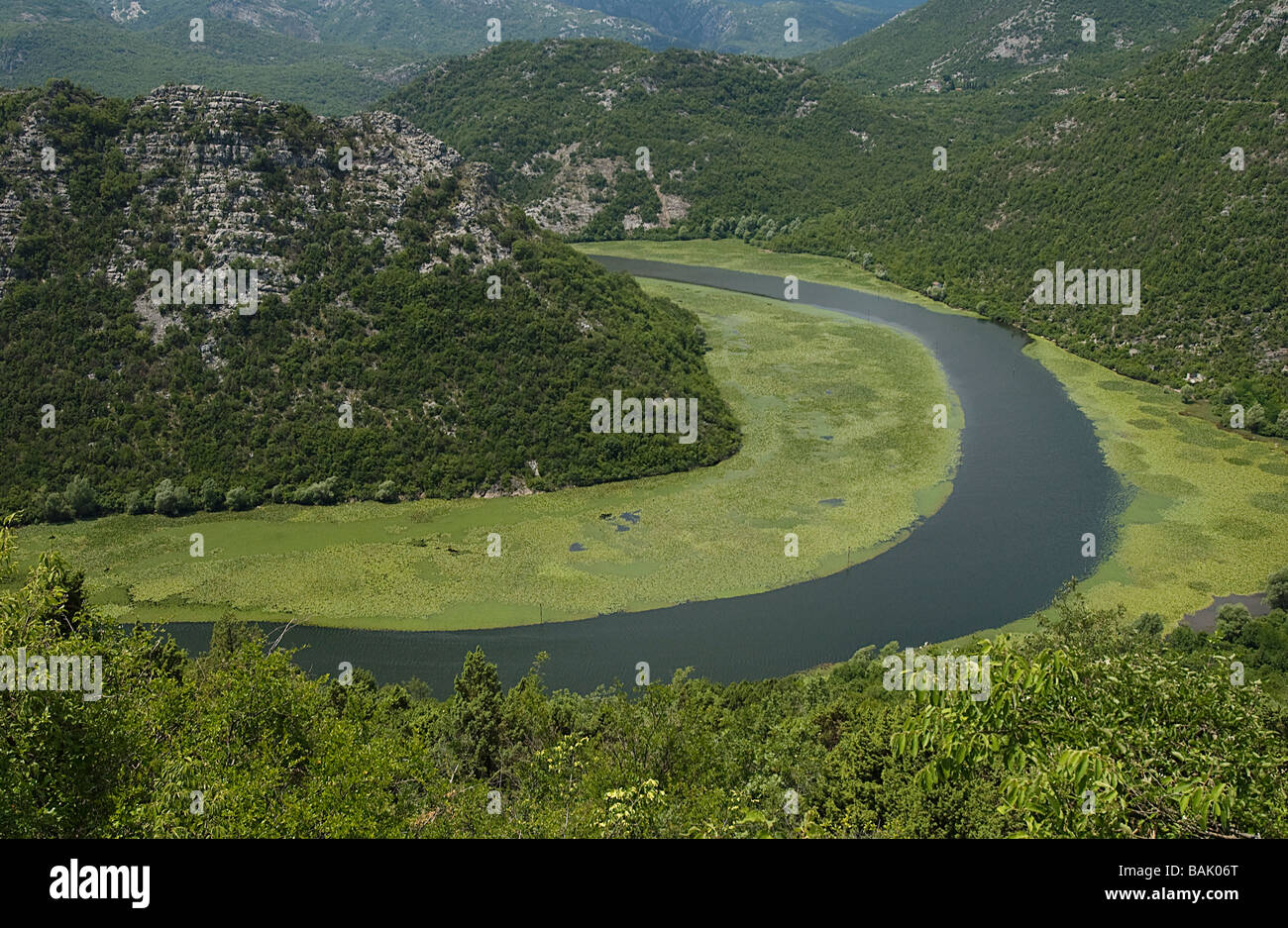 Montenegro, Central Region, National Park of Skadarsko Jezero (Skadar Lake), Rijeka Crnojevica ...