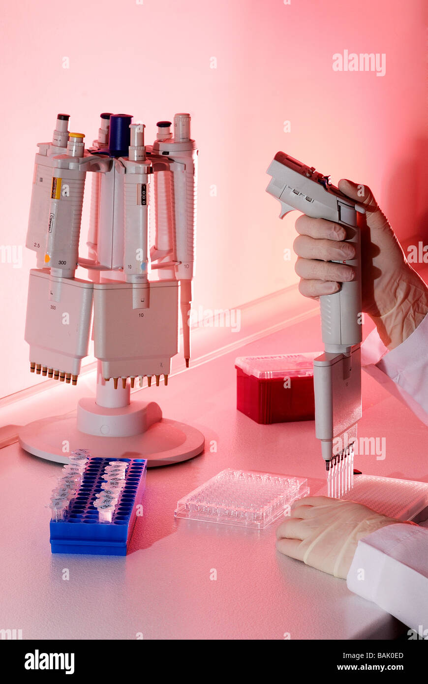 scientist researching at the laboratory Stock Photo - Alamy