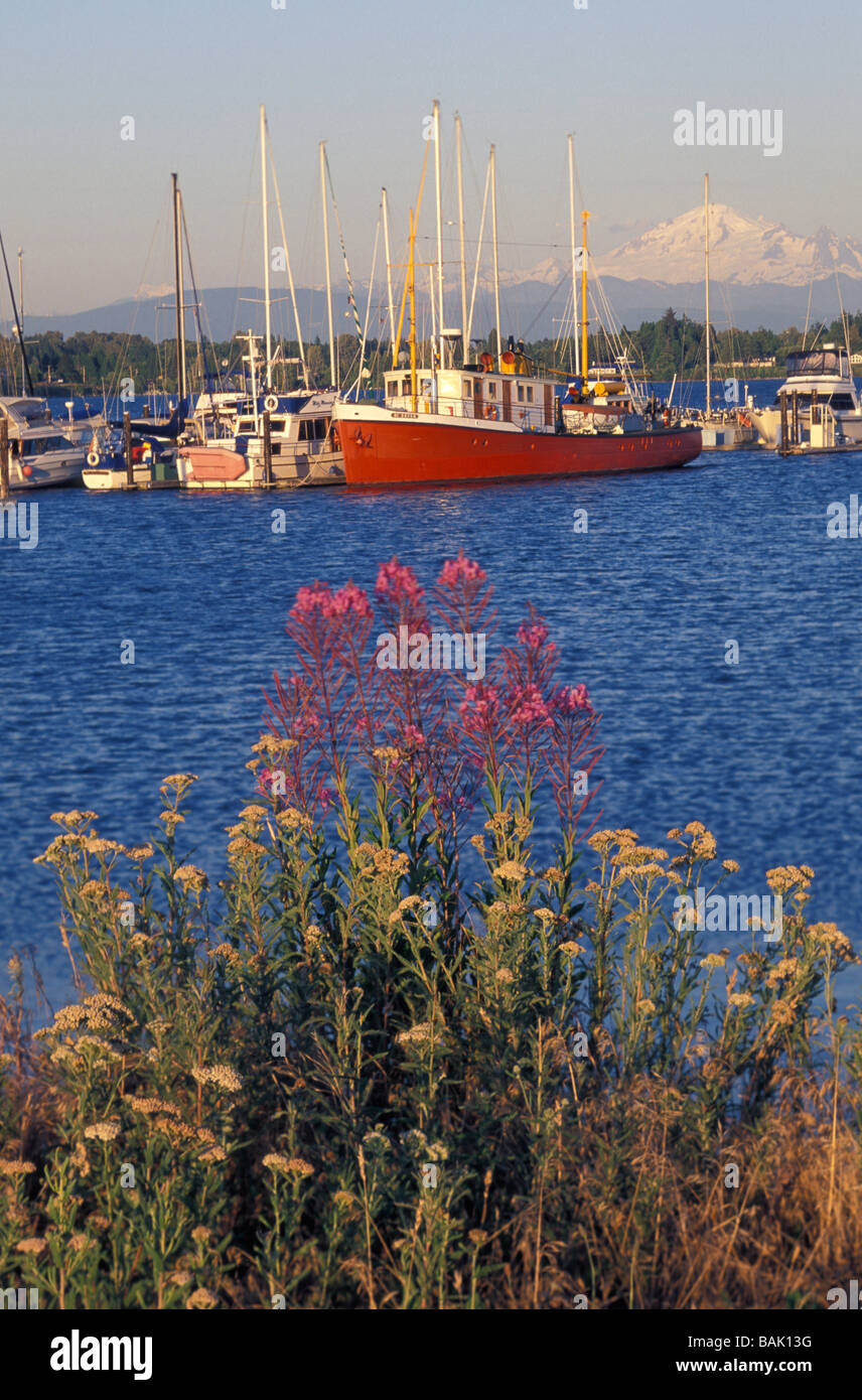 Drayton harbor hi-res stock photography and images - Alamy