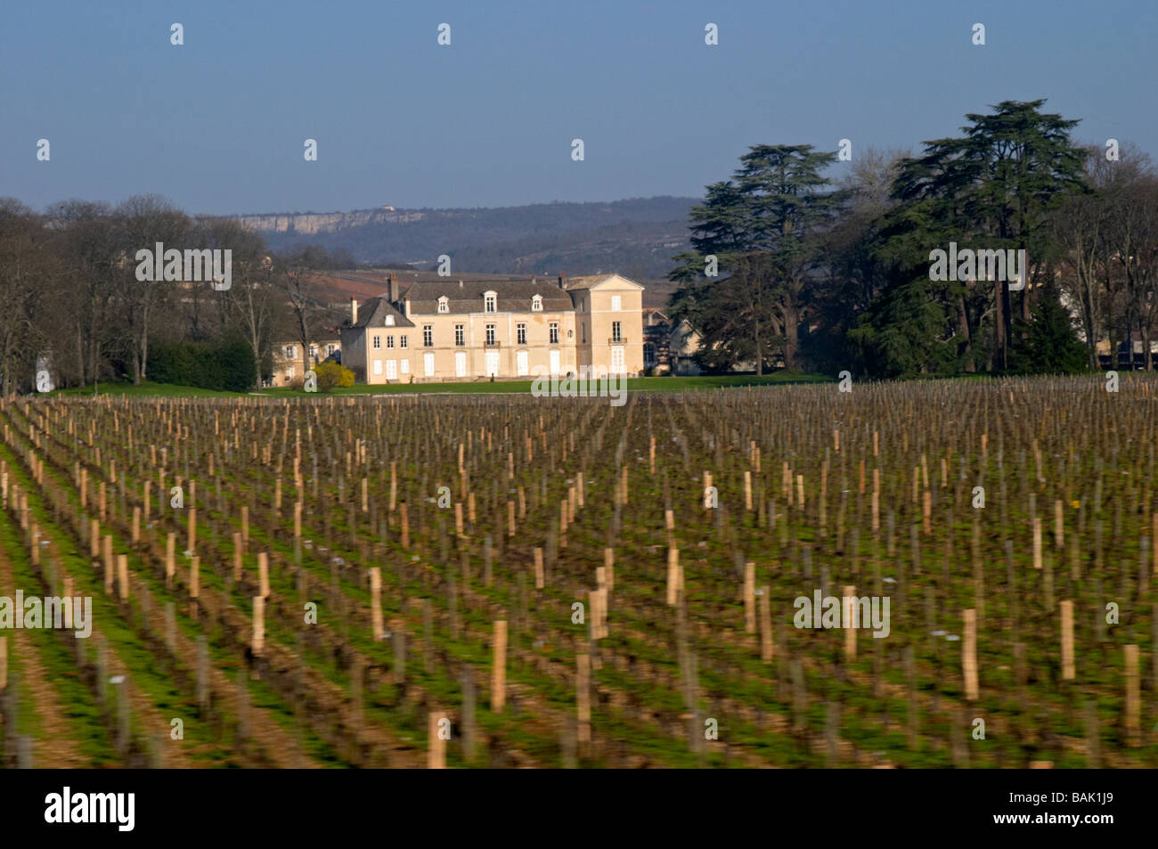 Chateau de meursault hi-res stock photography and images - Alamy