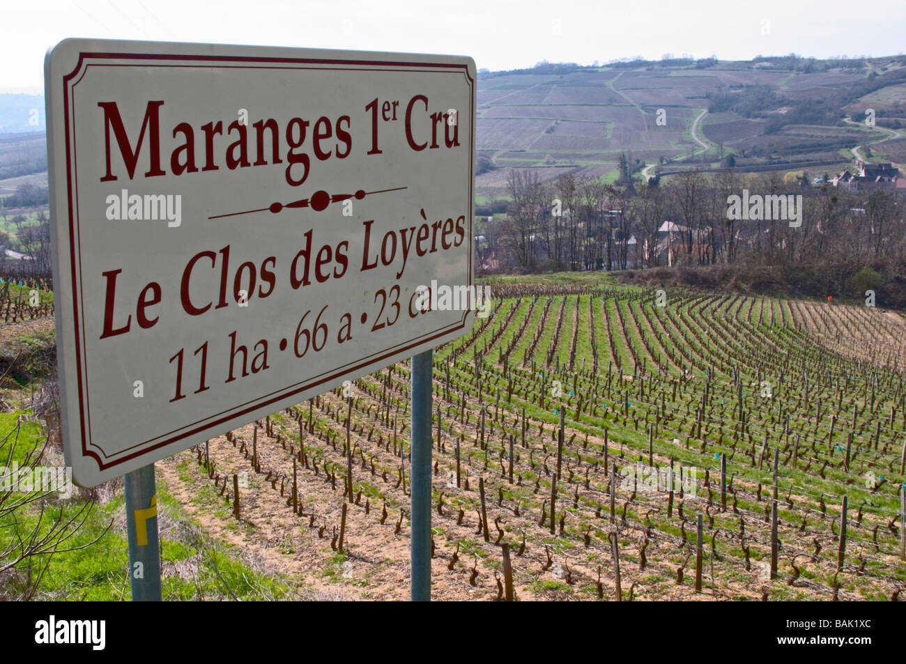 vineyard maranges 1er cru dezize les maranges santenay cote de beaune ...