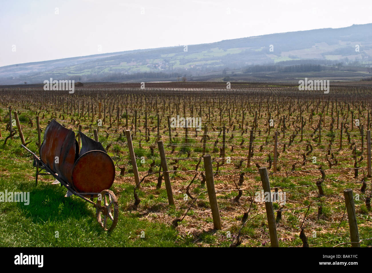 home made wheel barrow to burn branches vineyard dezize les maranges ...