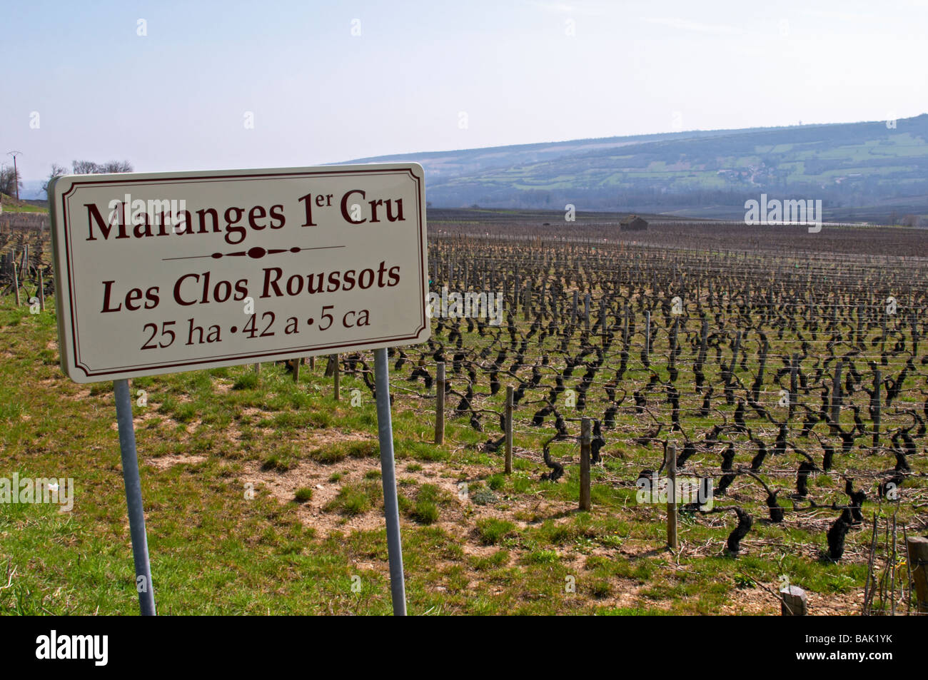 vineyard les clos roussots dezize les maranges santenay cote de beaune ...