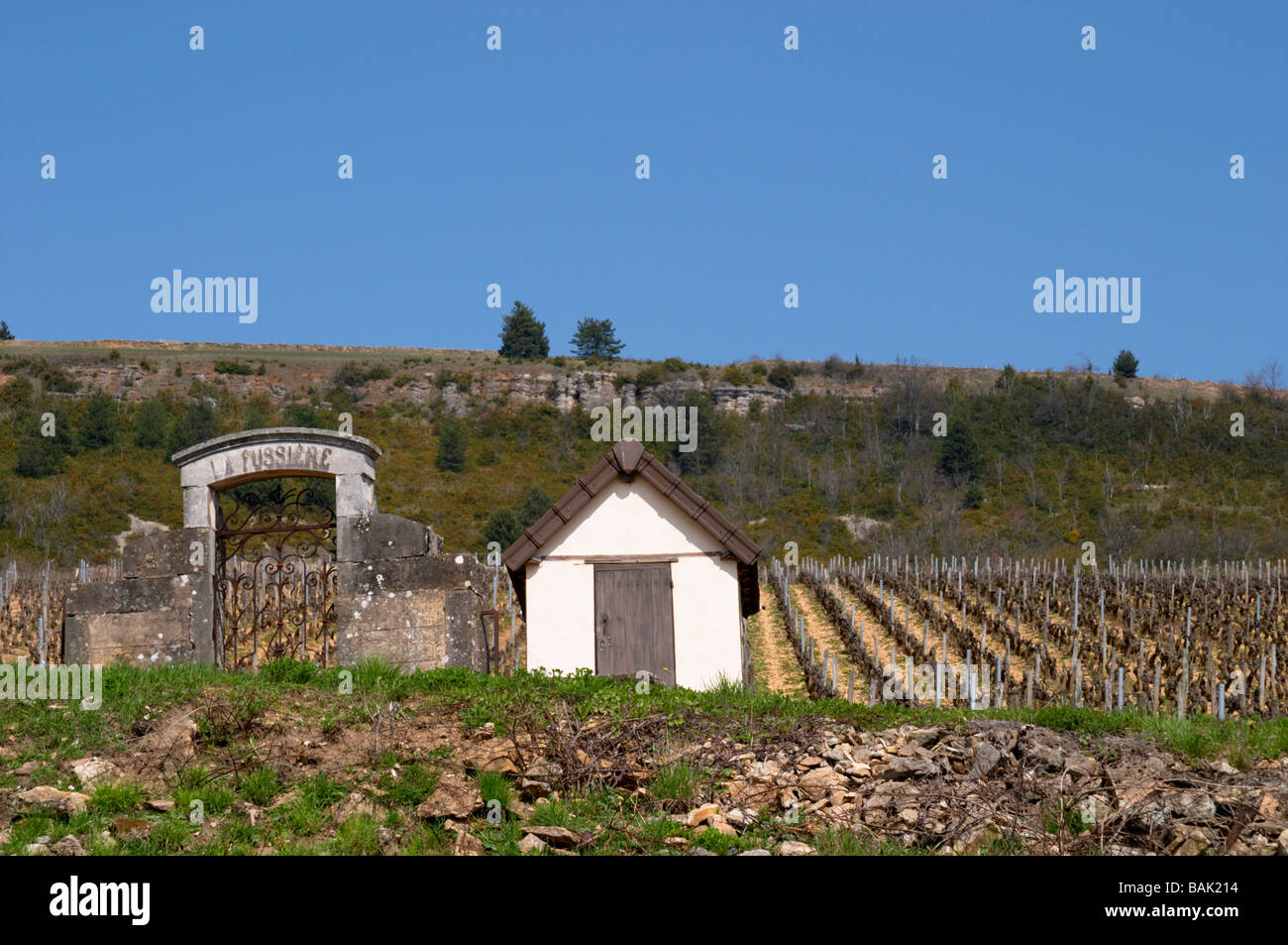 vineyard hut dezize les maranges santenay cote de beaune burgundy ...
